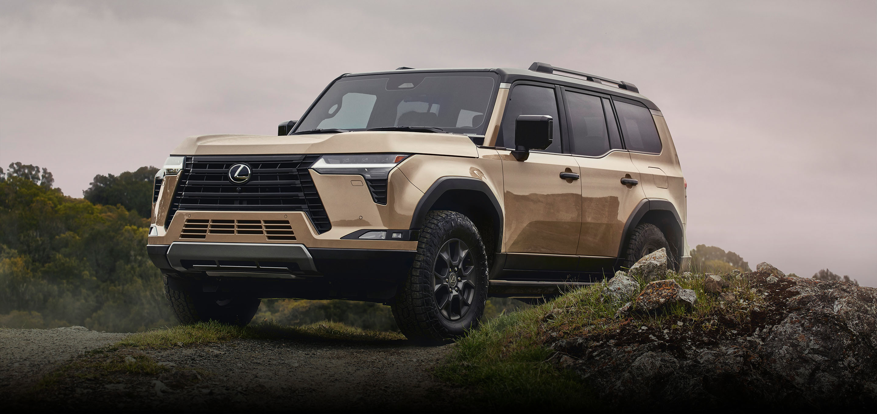 Mark Levinson in Lexus