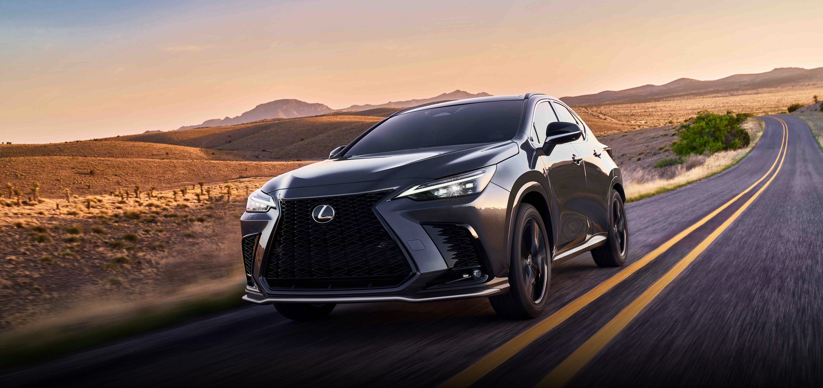 Mark Levinson in Lexus